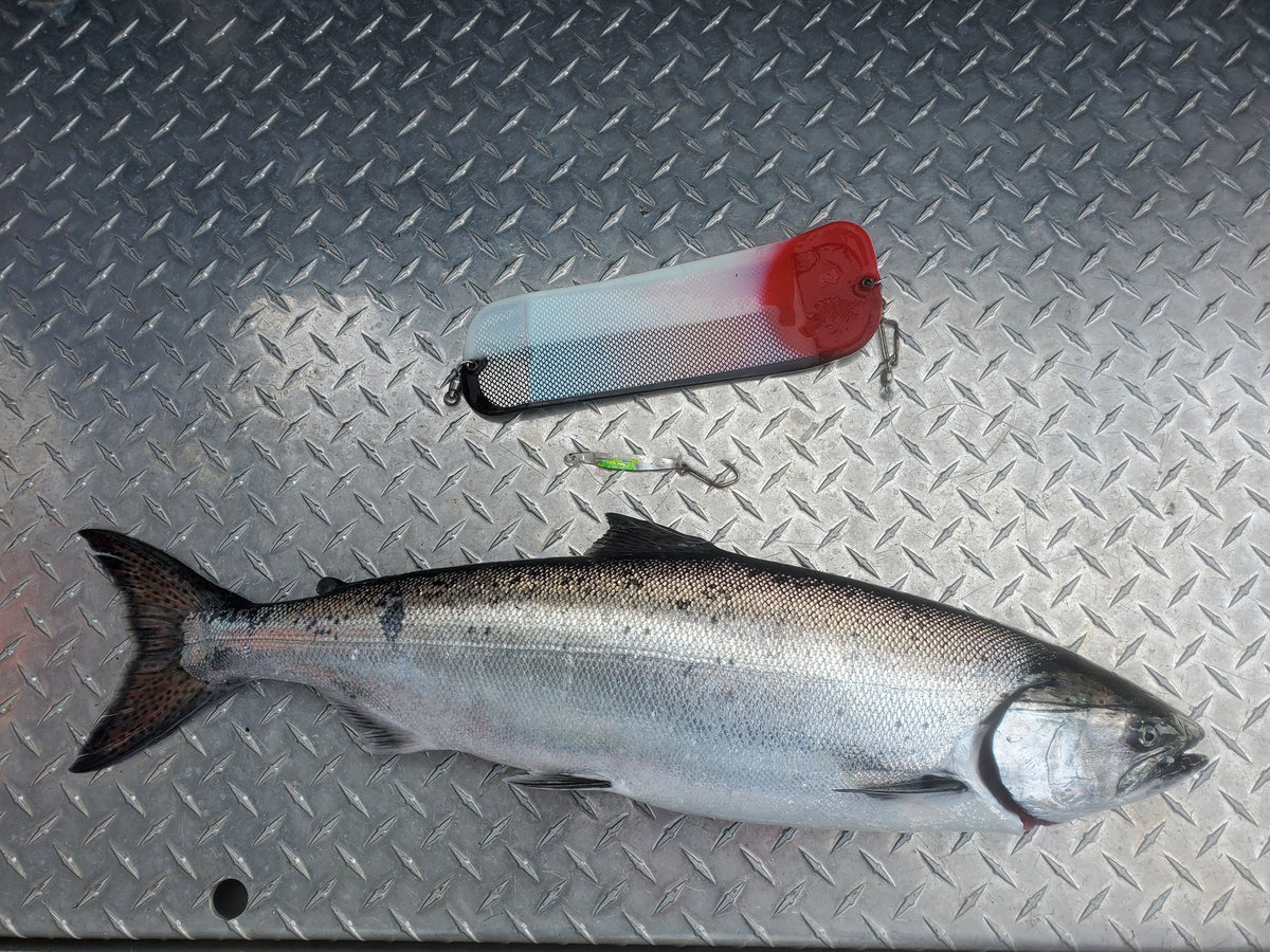 Fishing for Feeder Springs! – The Harbour Chandler